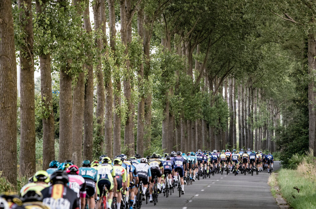 Heistse Pijl 2026, la startlist definitiva - SpazioCiclismo