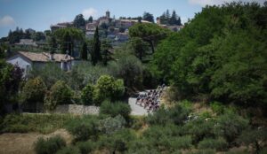 VIDEO: Highlights Tappa 2 Giro Next Gen 2026 - SpazioCiclismo